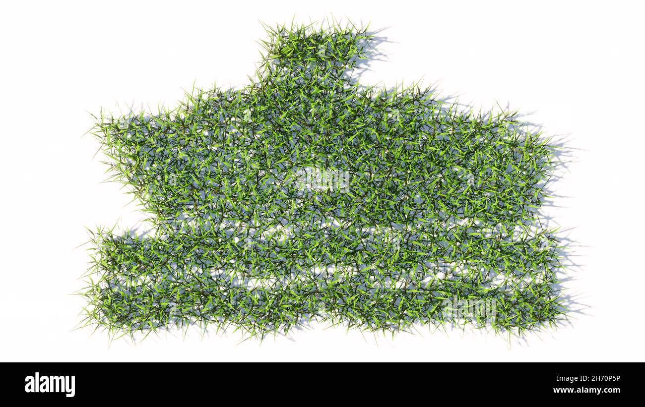 Concept or conceptual green summer lawn grass symbol shape isolated ...