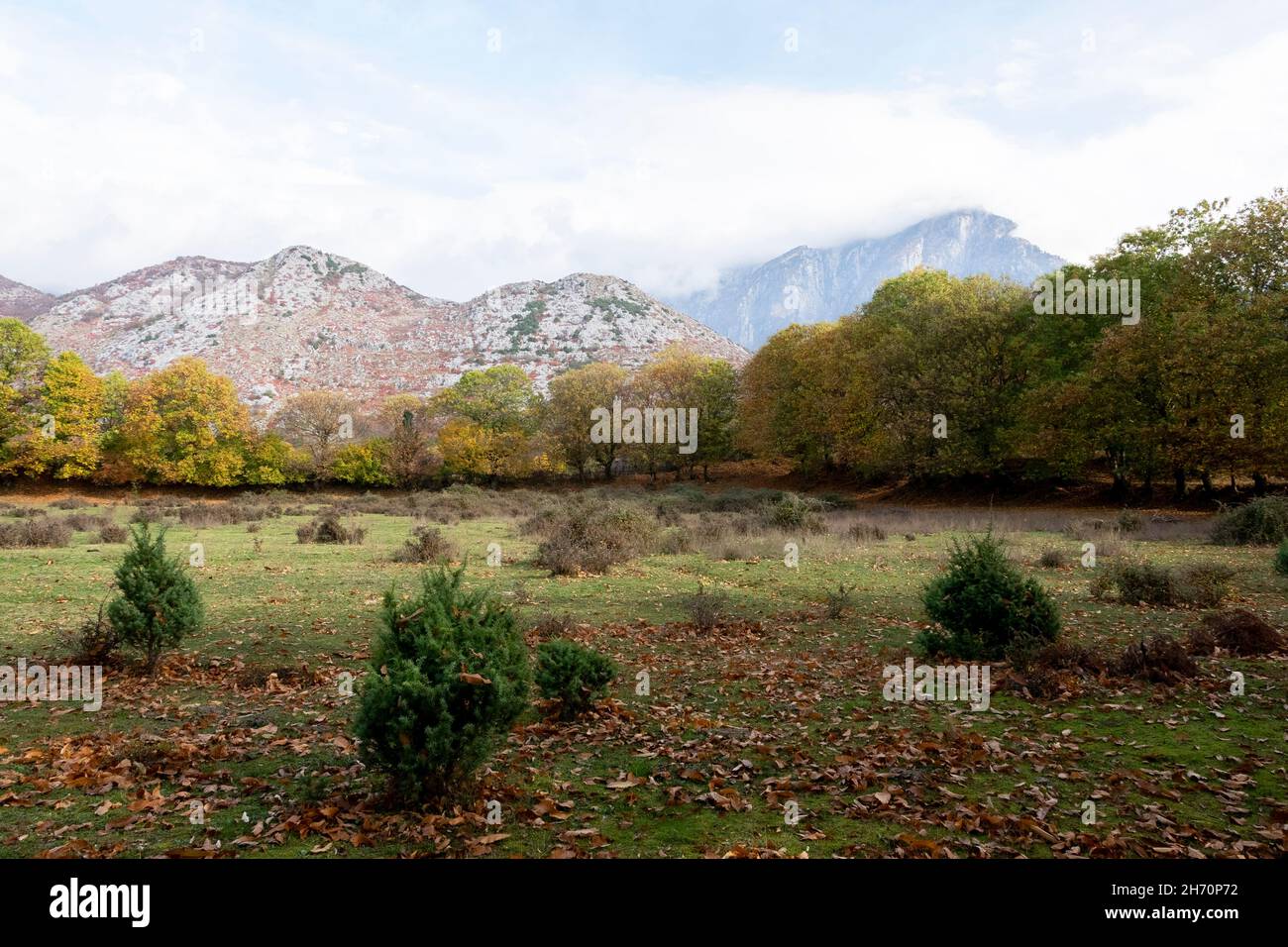 Colorful autumn forest landscape. Fall season in Albania Stock Photo ...