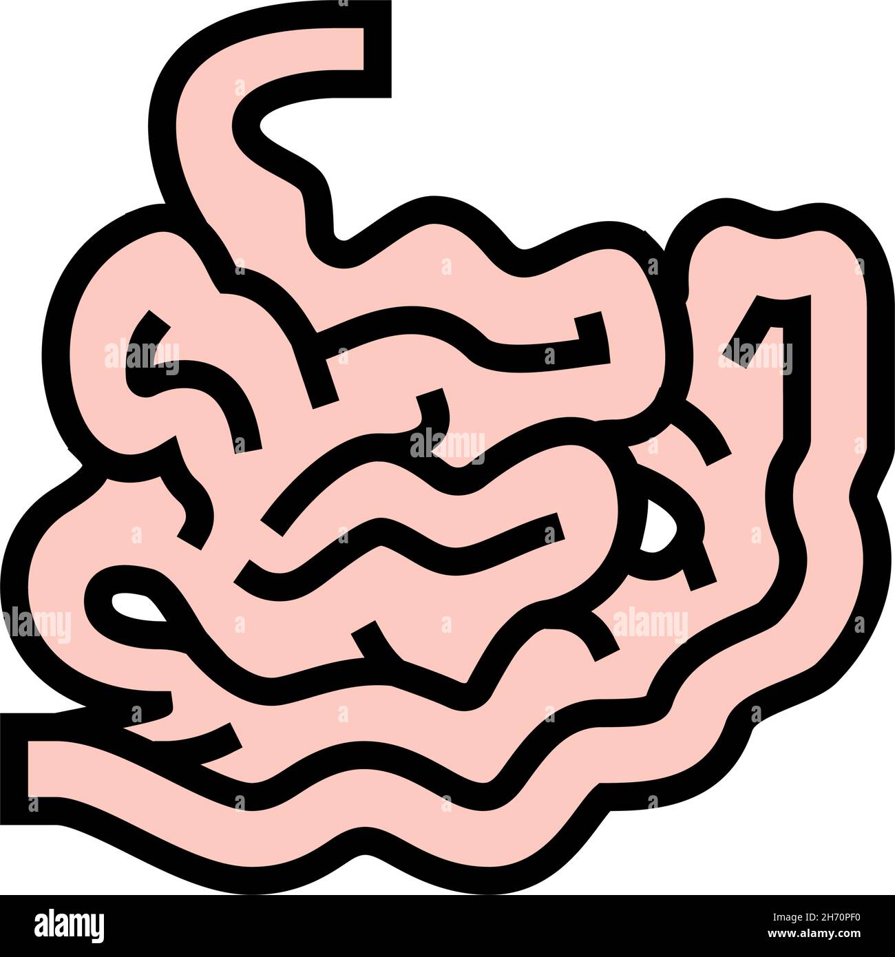 intestine human organ color icon vector illustration Stock Vector Image ...