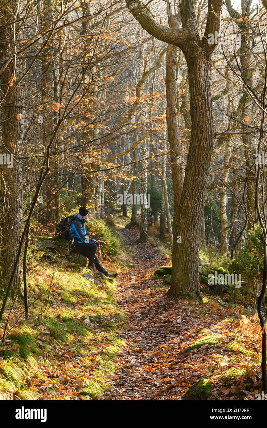 Wanderer hike hi-res stock photography and images - Alamy