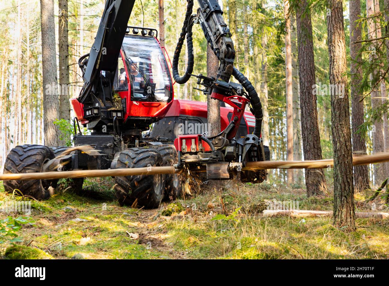 Feller buncher work hi-res stock photography and images - Alamy