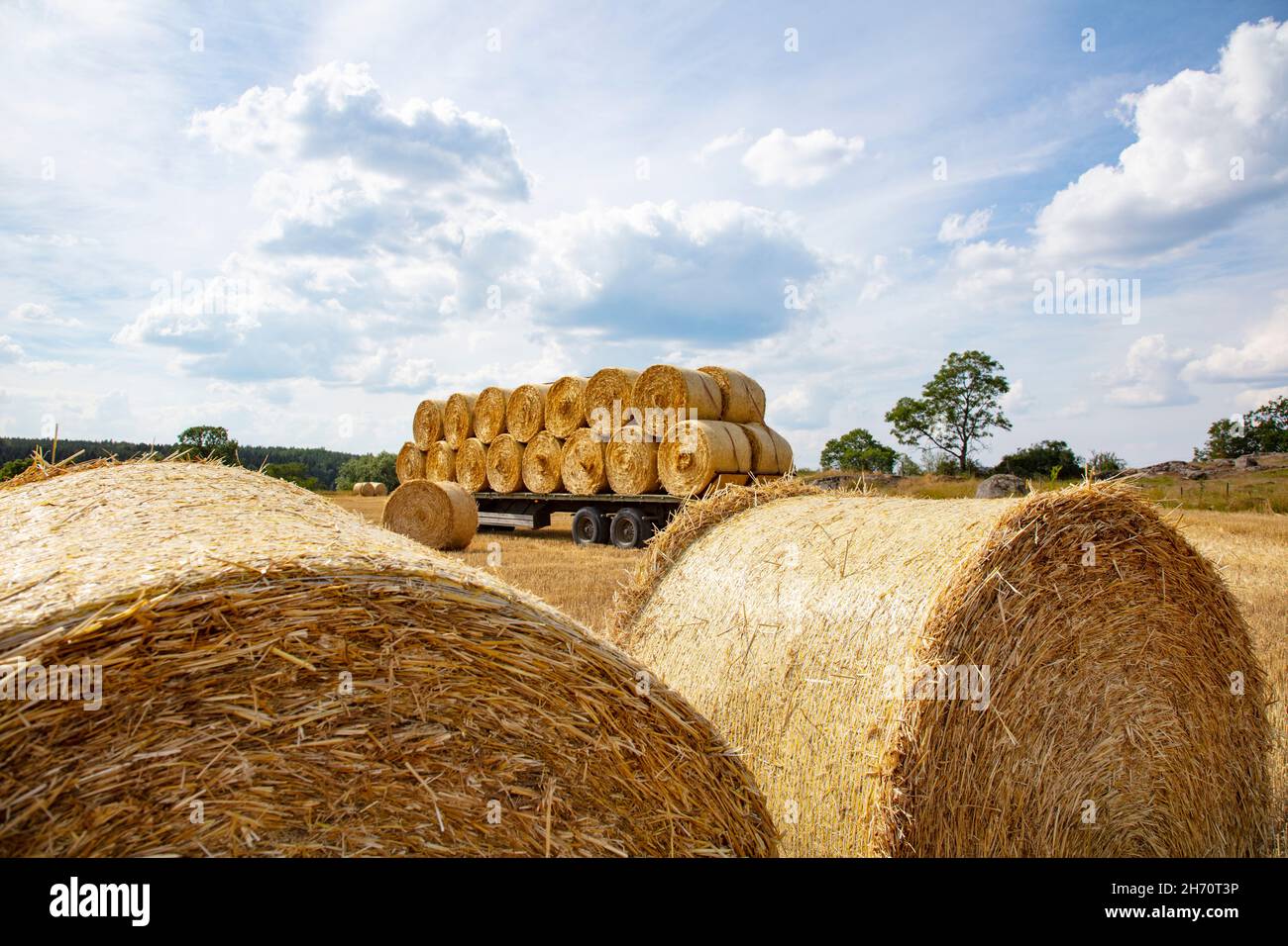 Hay bales on field hi-res stock photography and images - Alamy