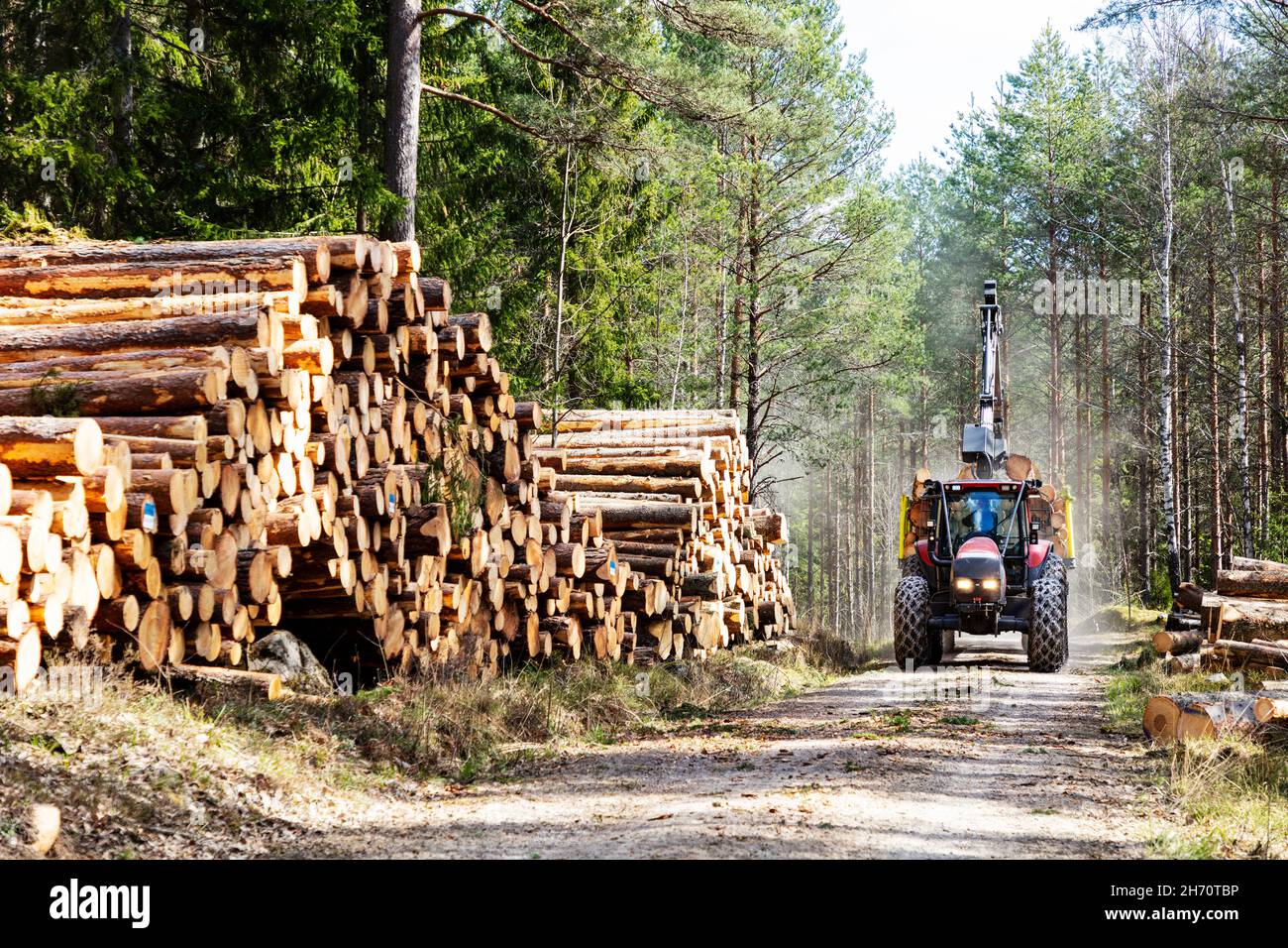Tractor on forest road among stacks of logs Stock Photo - Alamy