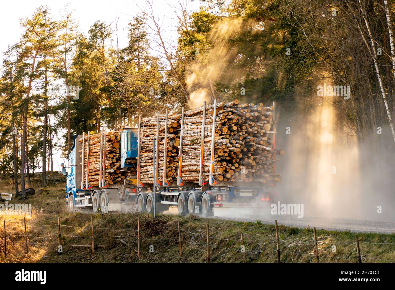 Truck with logs in forest Stock Photo - Alamy