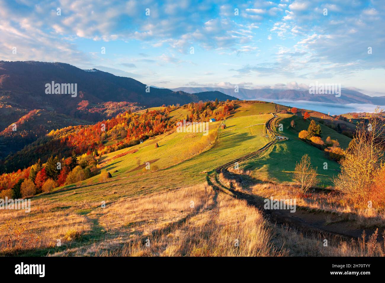 carpathian rural landscape at sunrise. trees in colorful foliage on ...