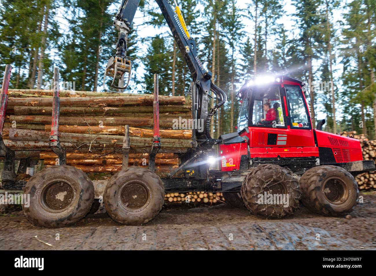 Forest machine carrying logs in forest Stock Photo - Alamy