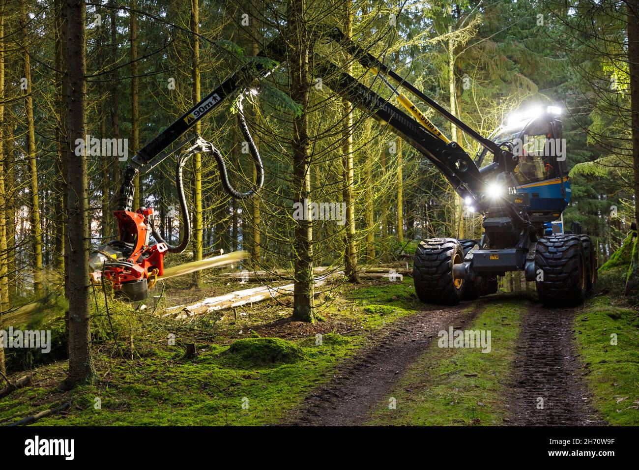 Feller buncher work hi-res stock photography and images - Alamy