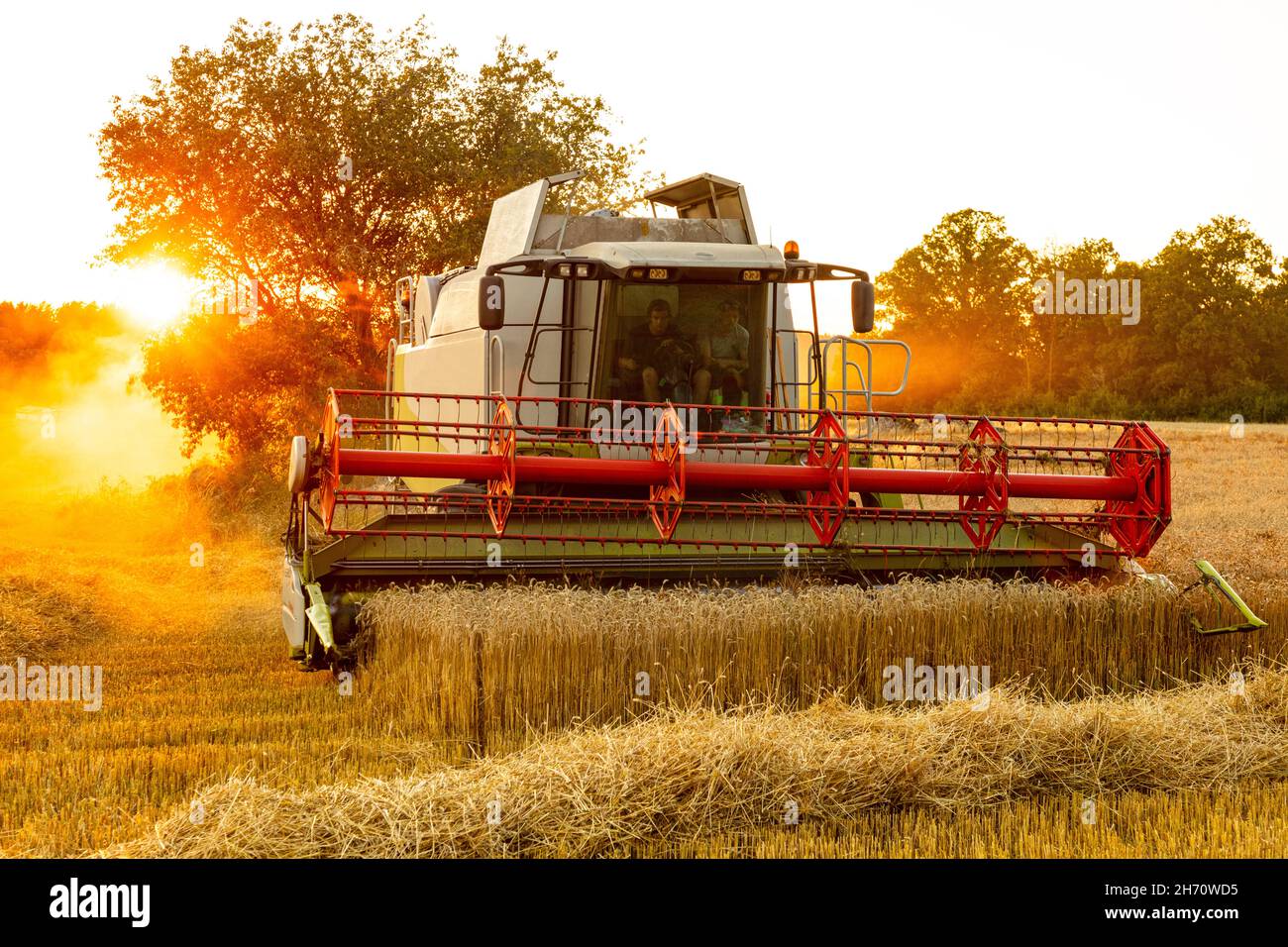 Combine harvester in field Stock Photo - Alamy
