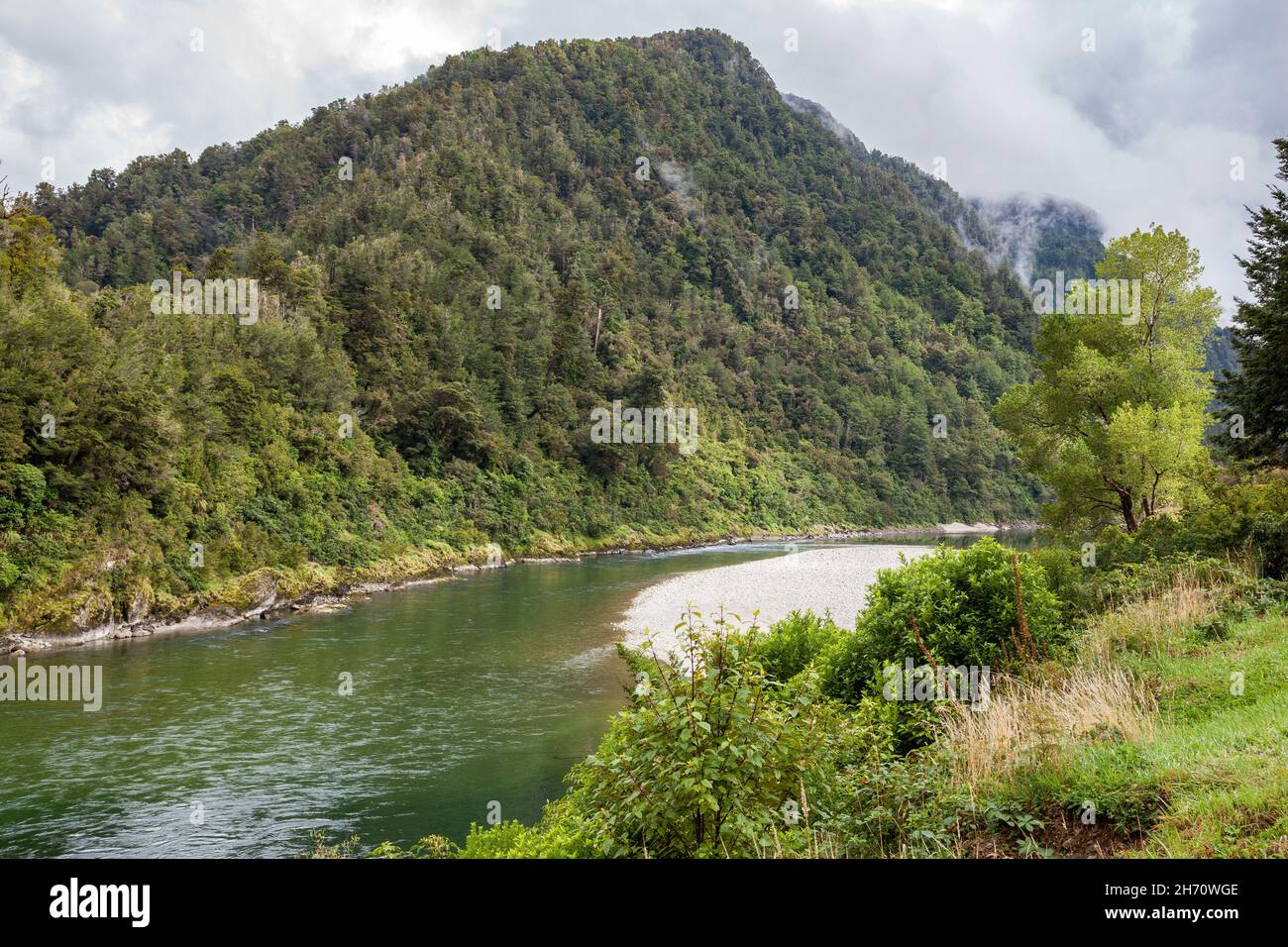 View of the Buller River Valley in New Zealand Stock Photo - Alamy