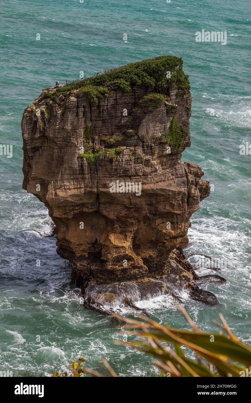 A small stack of Pancake Rocks near Punakaiki in New Zealand Stock ...