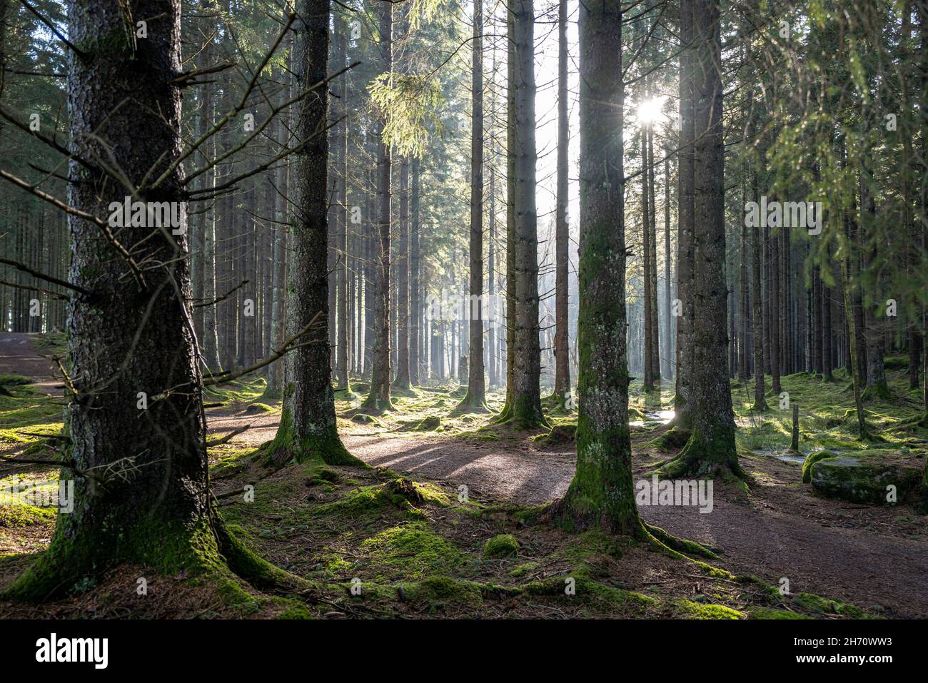 Footpath pathway hi-res stock photography and images - Alamy