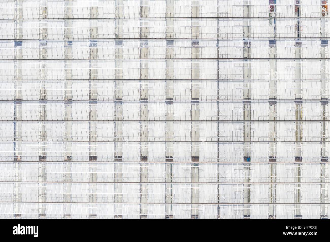 Aerial top view of large industrial greenhouses, glass texture, frame ...