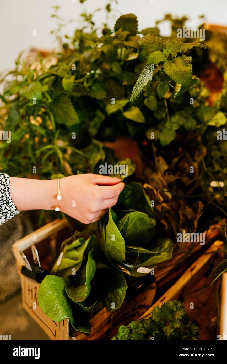 Choosing eco hi-res stock photography and images - Alamy