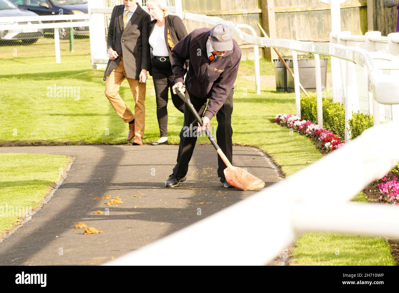 Documenting horse hi-res stock photography and images - Alamy