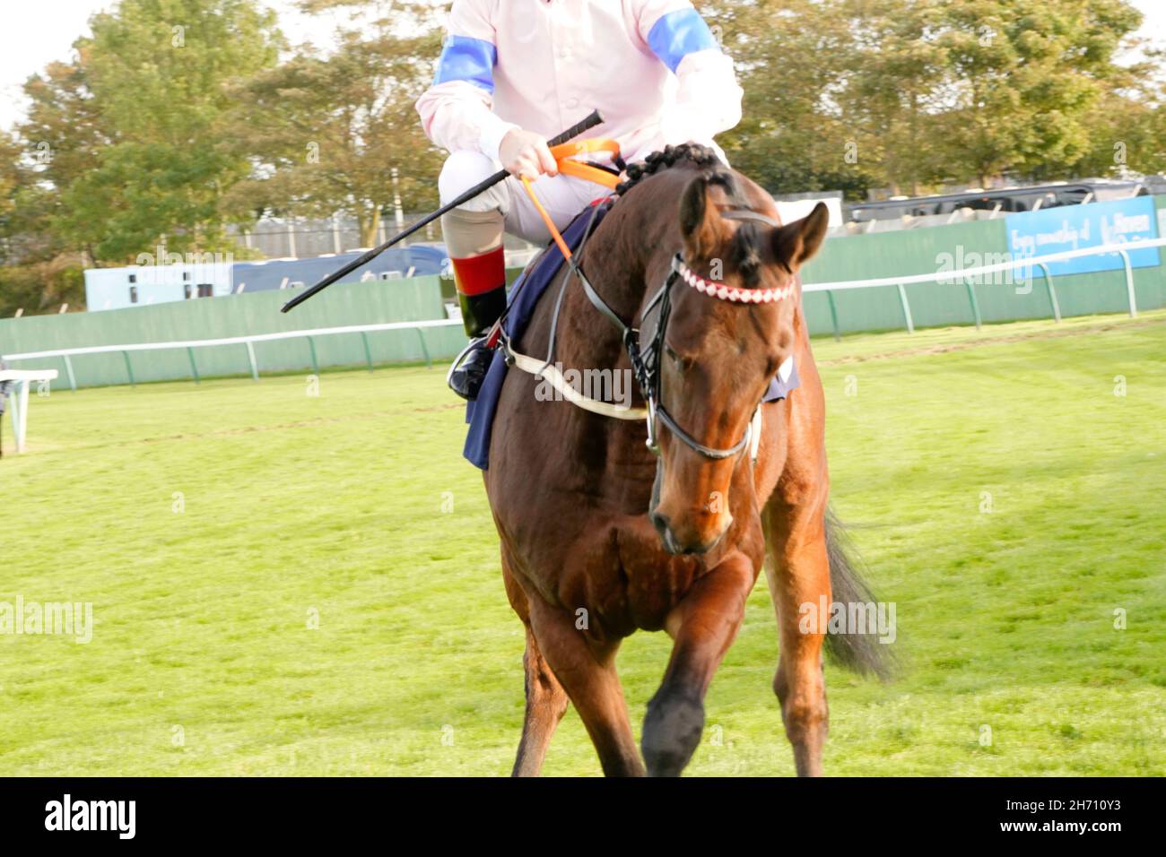 Documenting the atmosphere and thrill of a day at the races with the ...