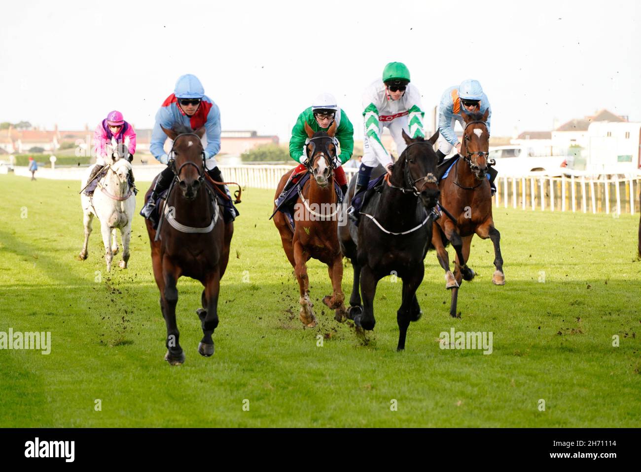 Documenting horse hi-res stock photography and images - Alamy