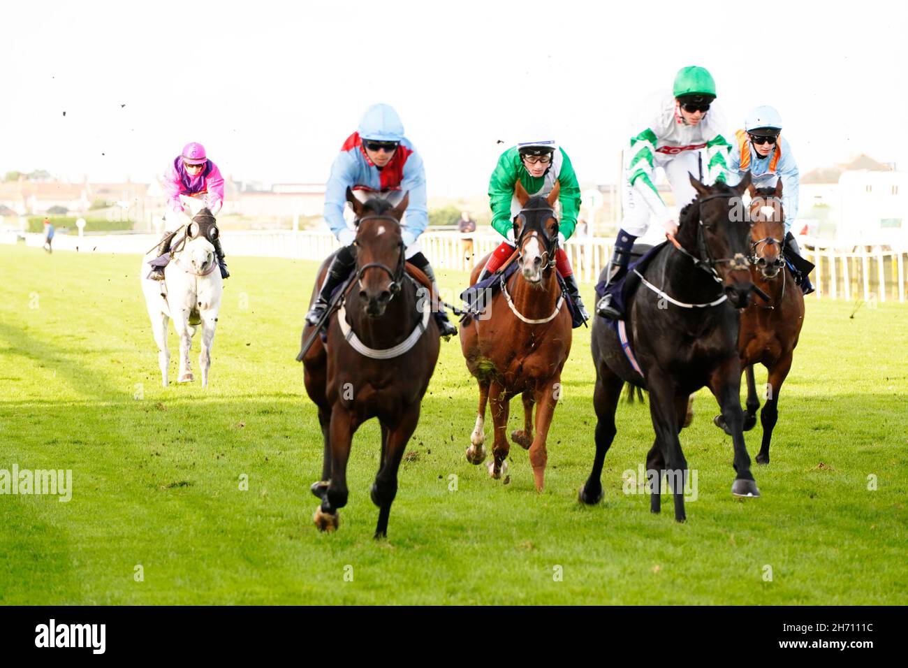 Documenting horse hi-res stock photography and images - Alamy