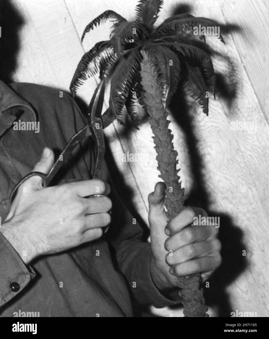 RAY HARRYHAUSEN making finishing touches to Tin Palm Tree for his 1st ...