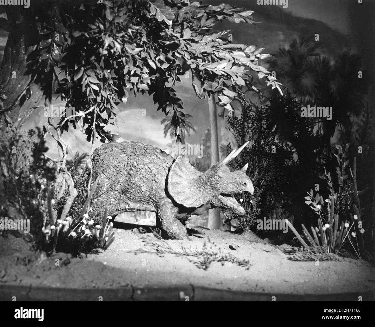 Animated short Black and White Stock Photos & Images - Alamy