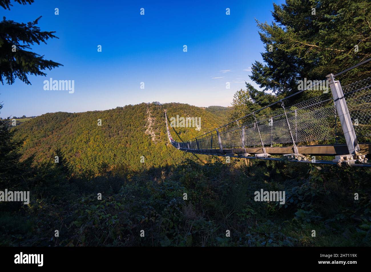View of the landscape from the Geierlay suspension bridge. Beautiful ...
