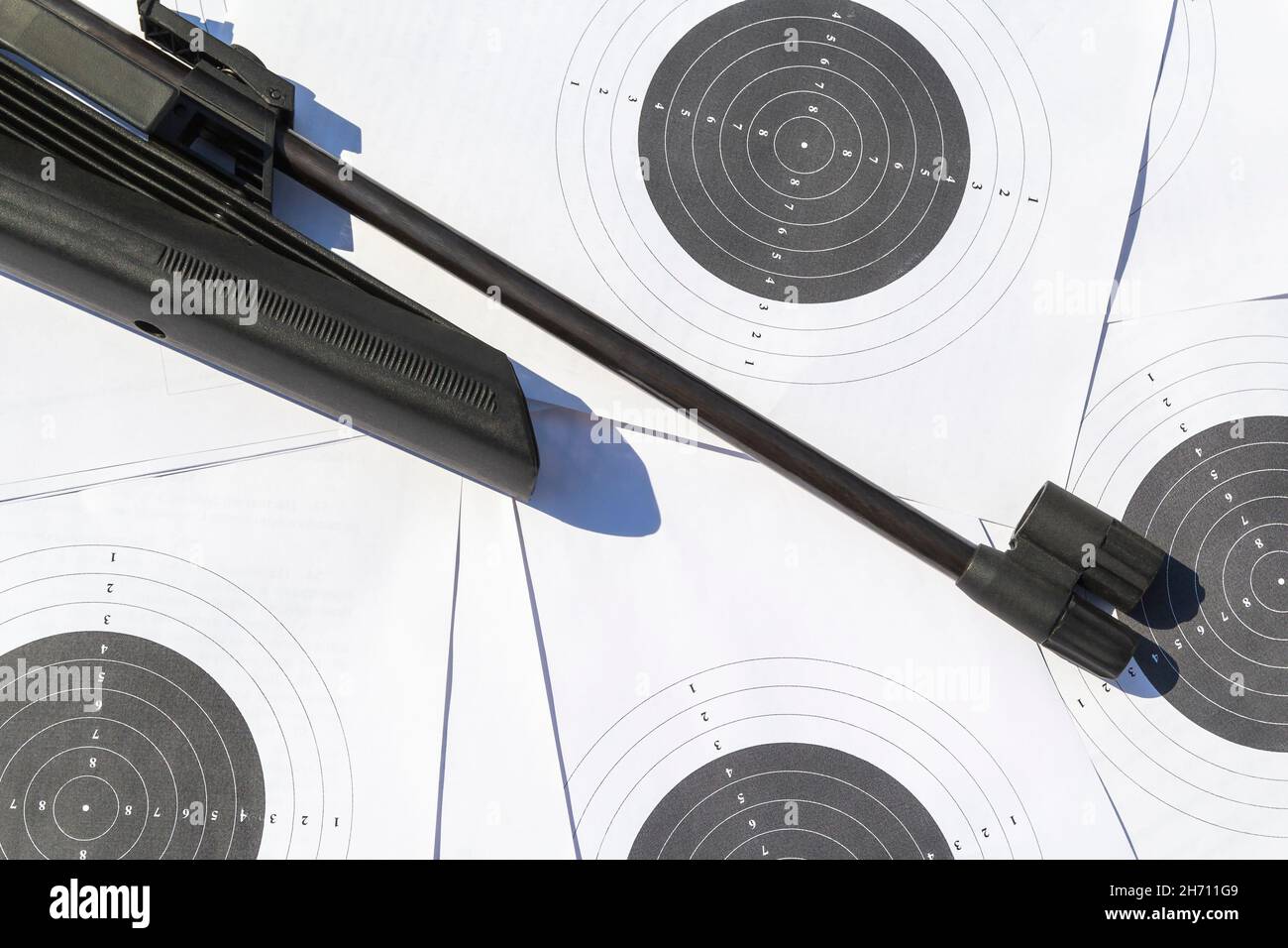 Paper target and lead shot for pneumatic weapons. Shooting accessories ...