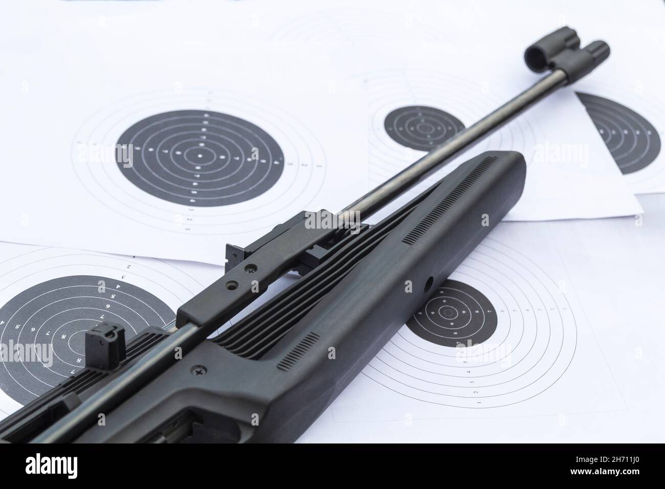 Paper target and lead shot for pneumatic weapons. Shooting accessories ...