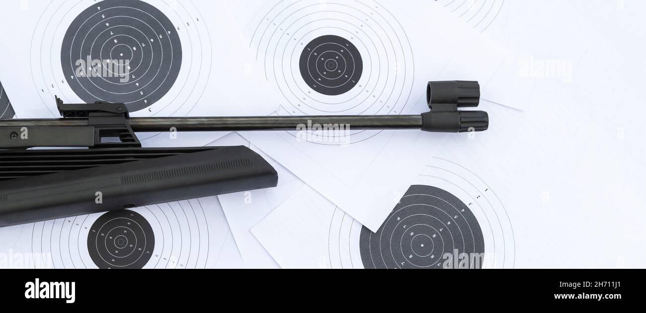 Paper target and lead shot for pneumatic weapons. Shooting accessories ...