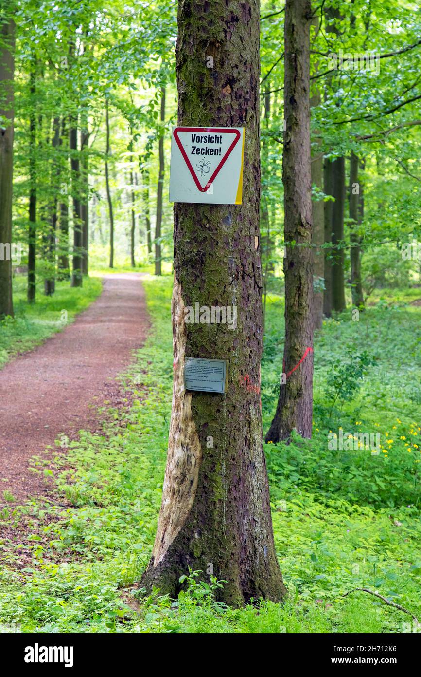 Warning sign "Caution ticks" on a forest path, Schleswig-Holstein ...