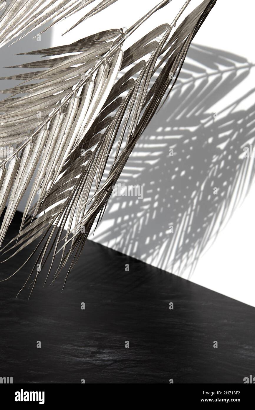 Shiny tropical palm leaf shadows on white grey ceramic beton wall ...