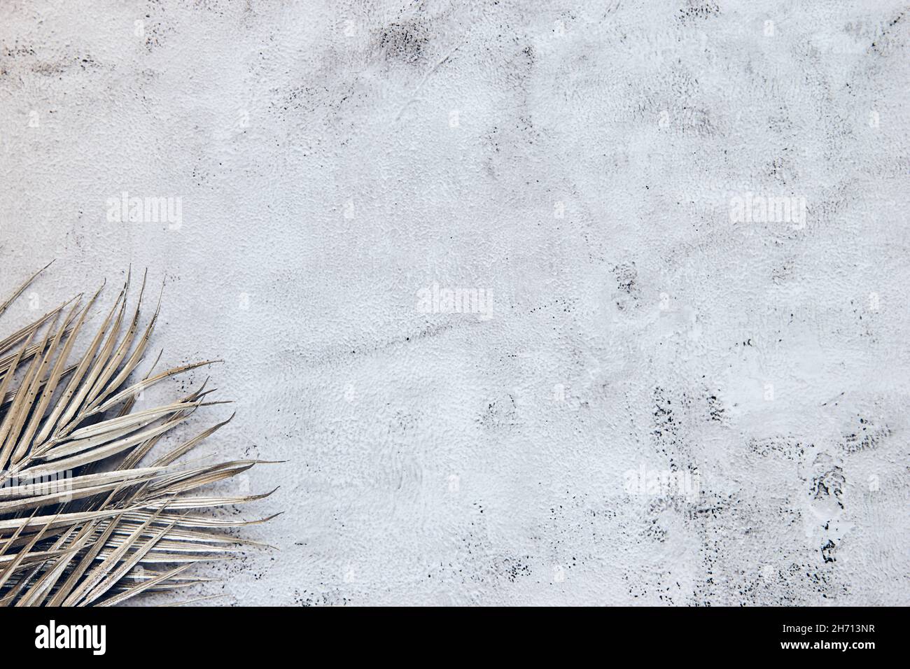 Shiny tropical palm leaf shadows on white grey ceramic beton wall ...