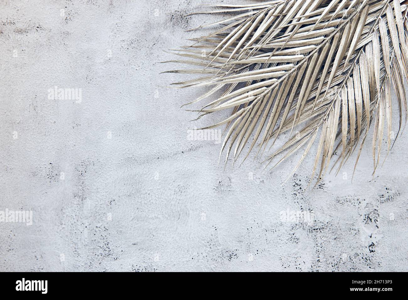 Shiny tropical palm leaf shadows on white grey ceramic beton wall ...