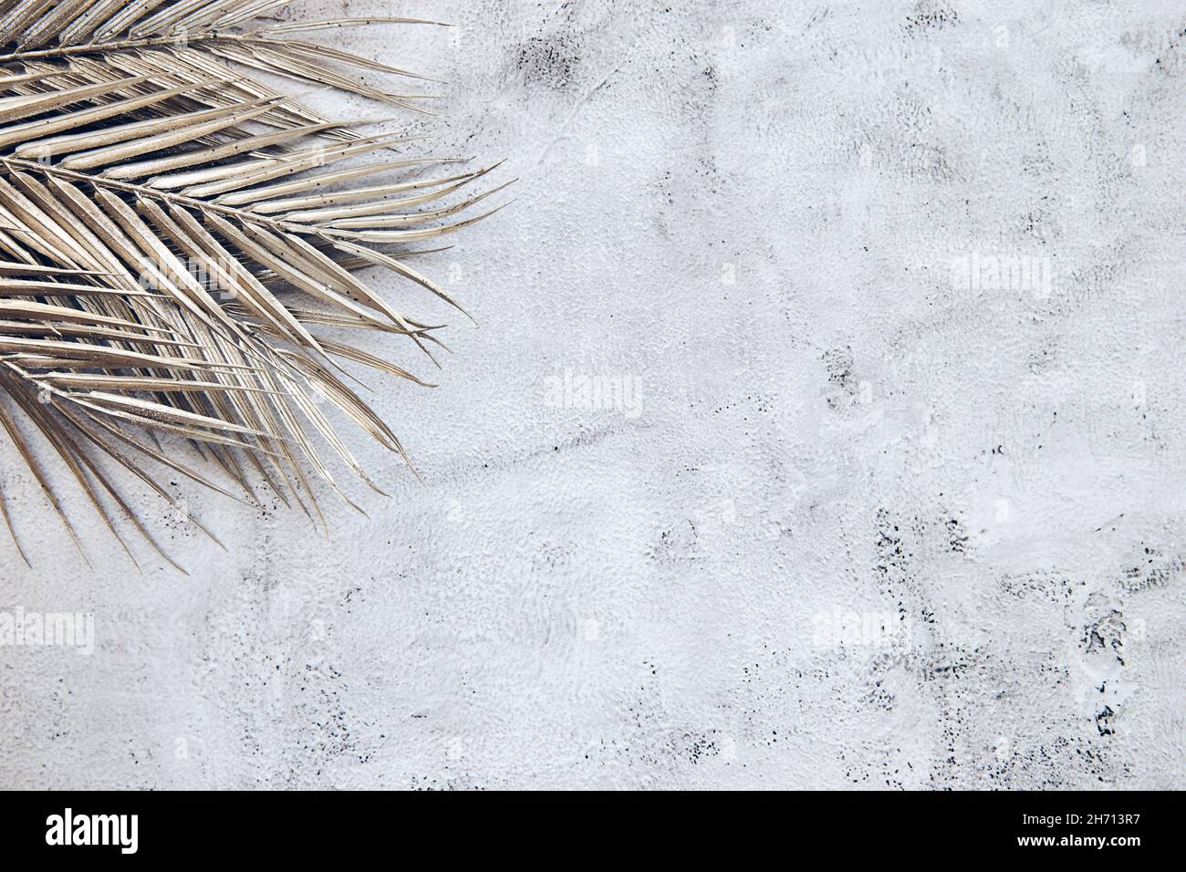 Shiny tropical palm leaf shadows on white grey ceramic beton wall ...