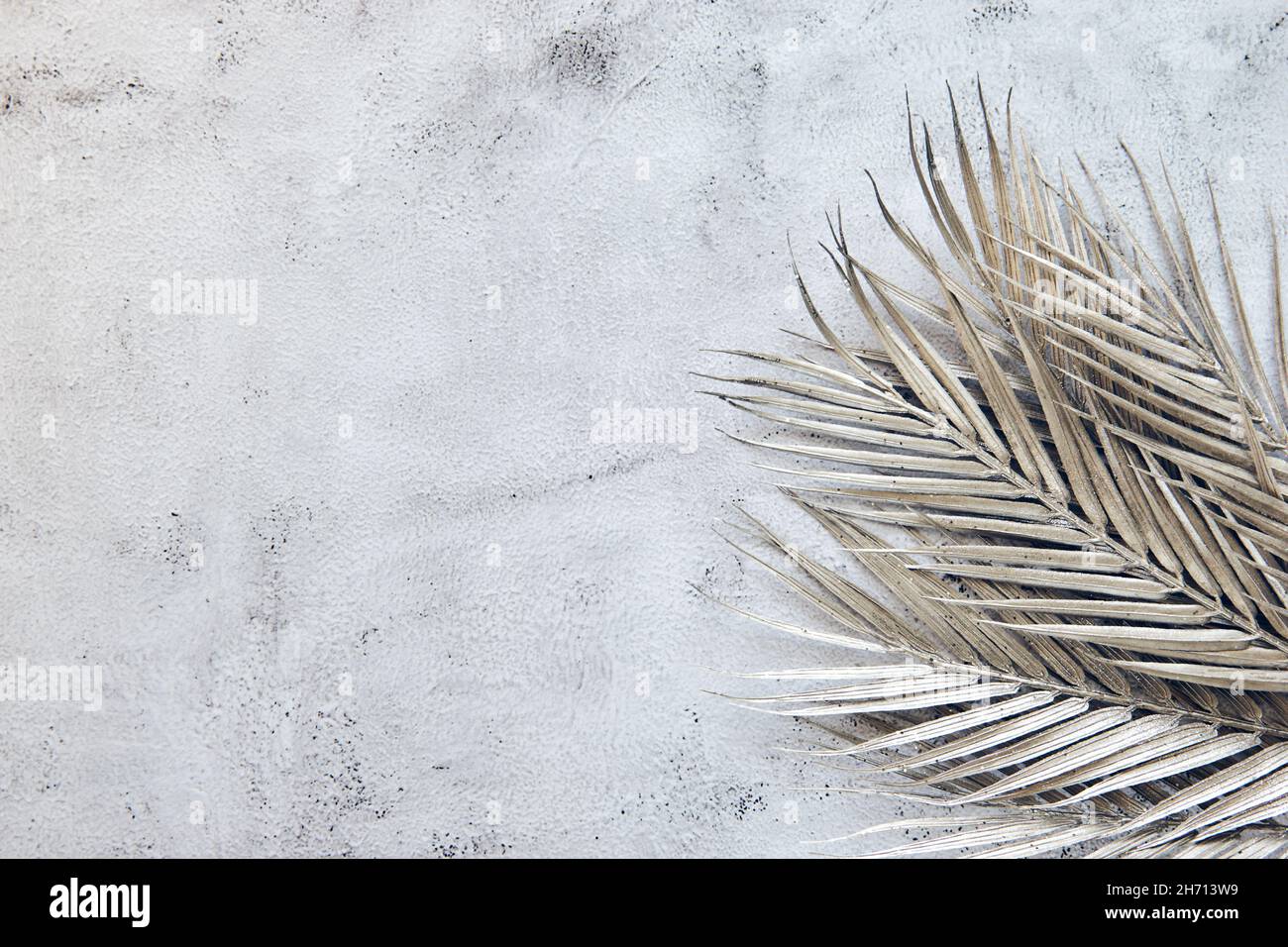 Shiny tropical palm leaf shadows on white grey ceramic beton wall ...