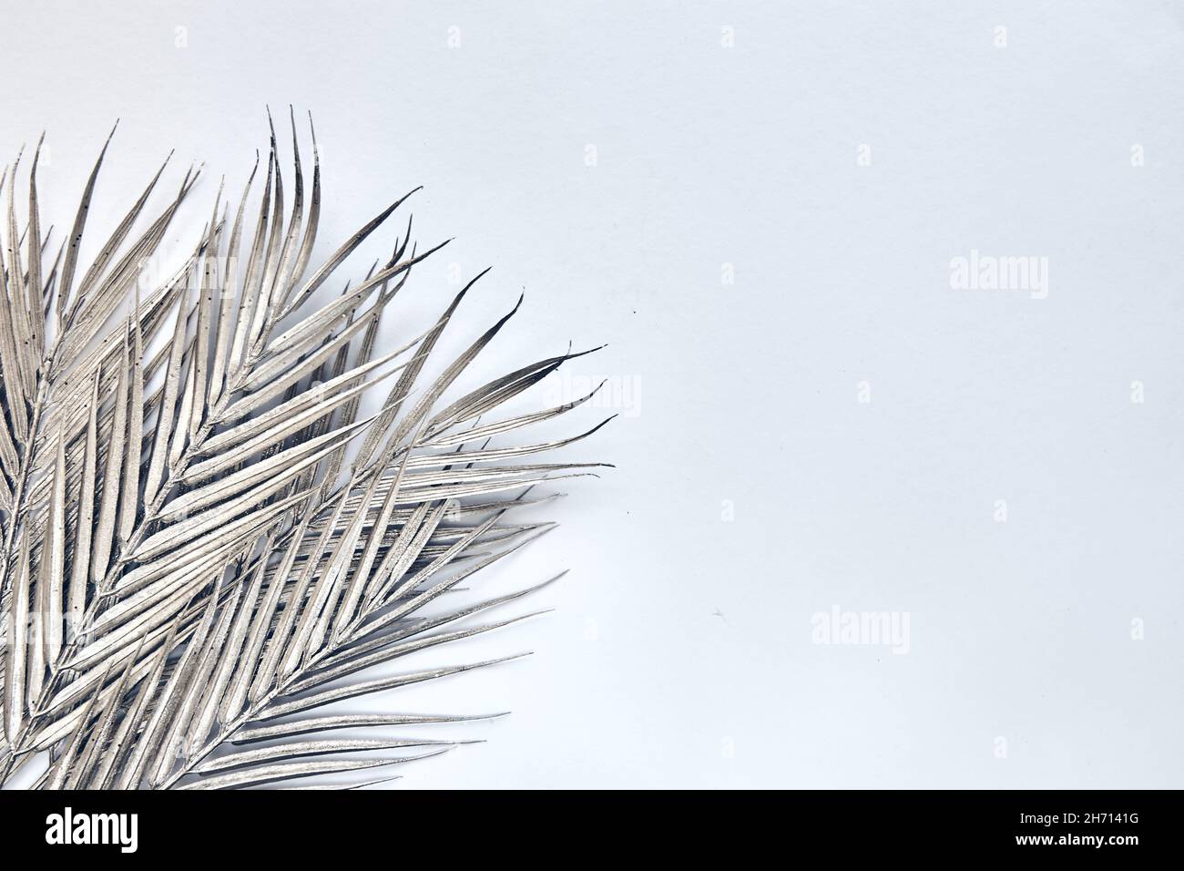 Shiny tropical palm leaf shadows on white grey ceramic beton wall ...