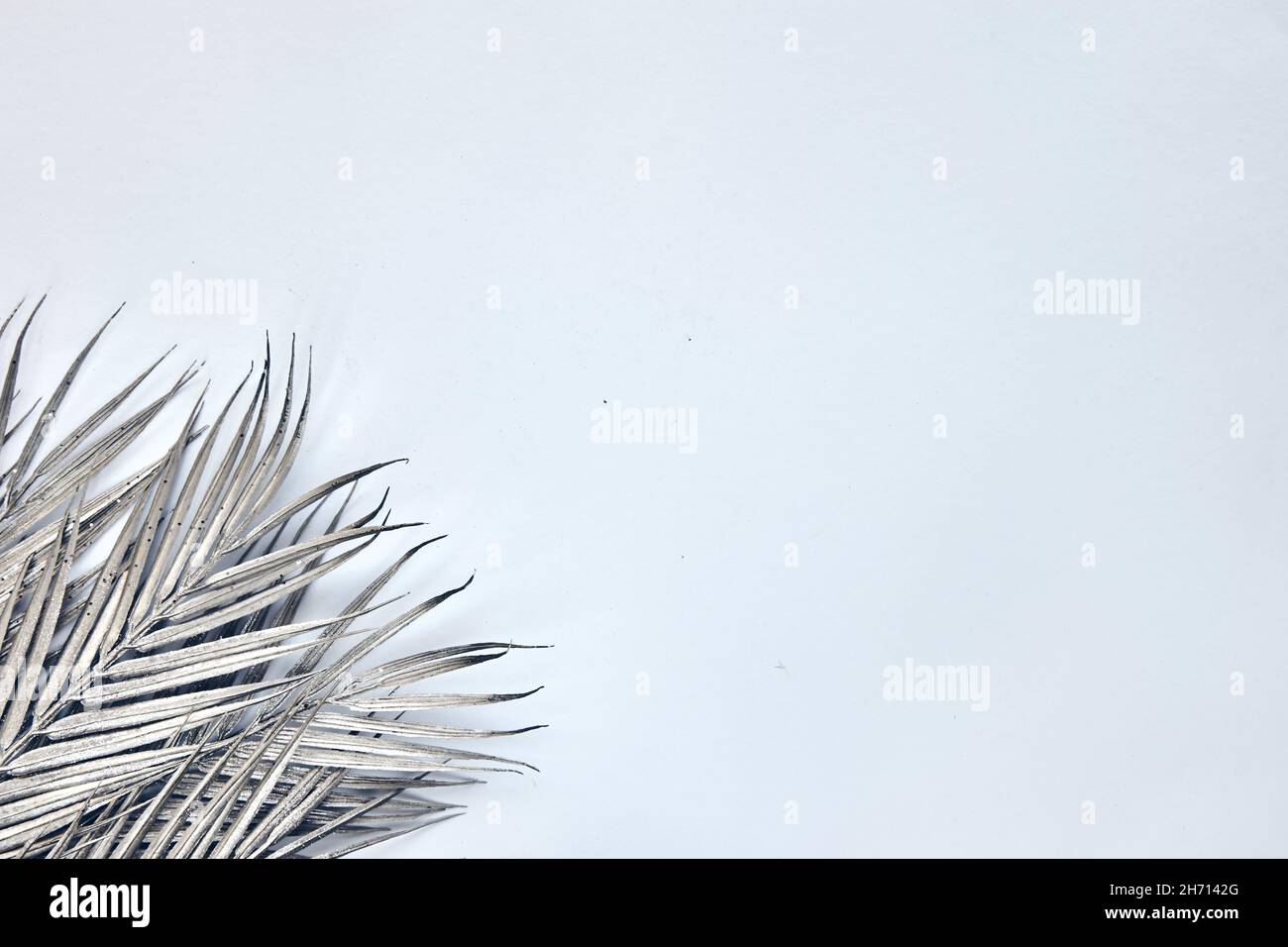 Shiny tropical palm leaf shadows on white grey ceramic beton wall ...