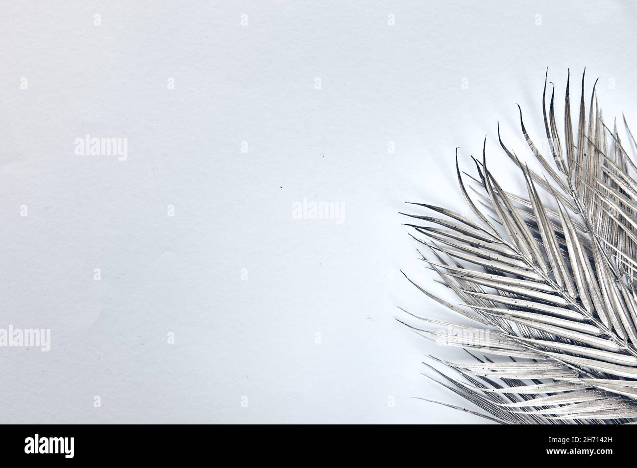 Shiny tropical palm leaf shadows on white grey ceramic beton wall ...