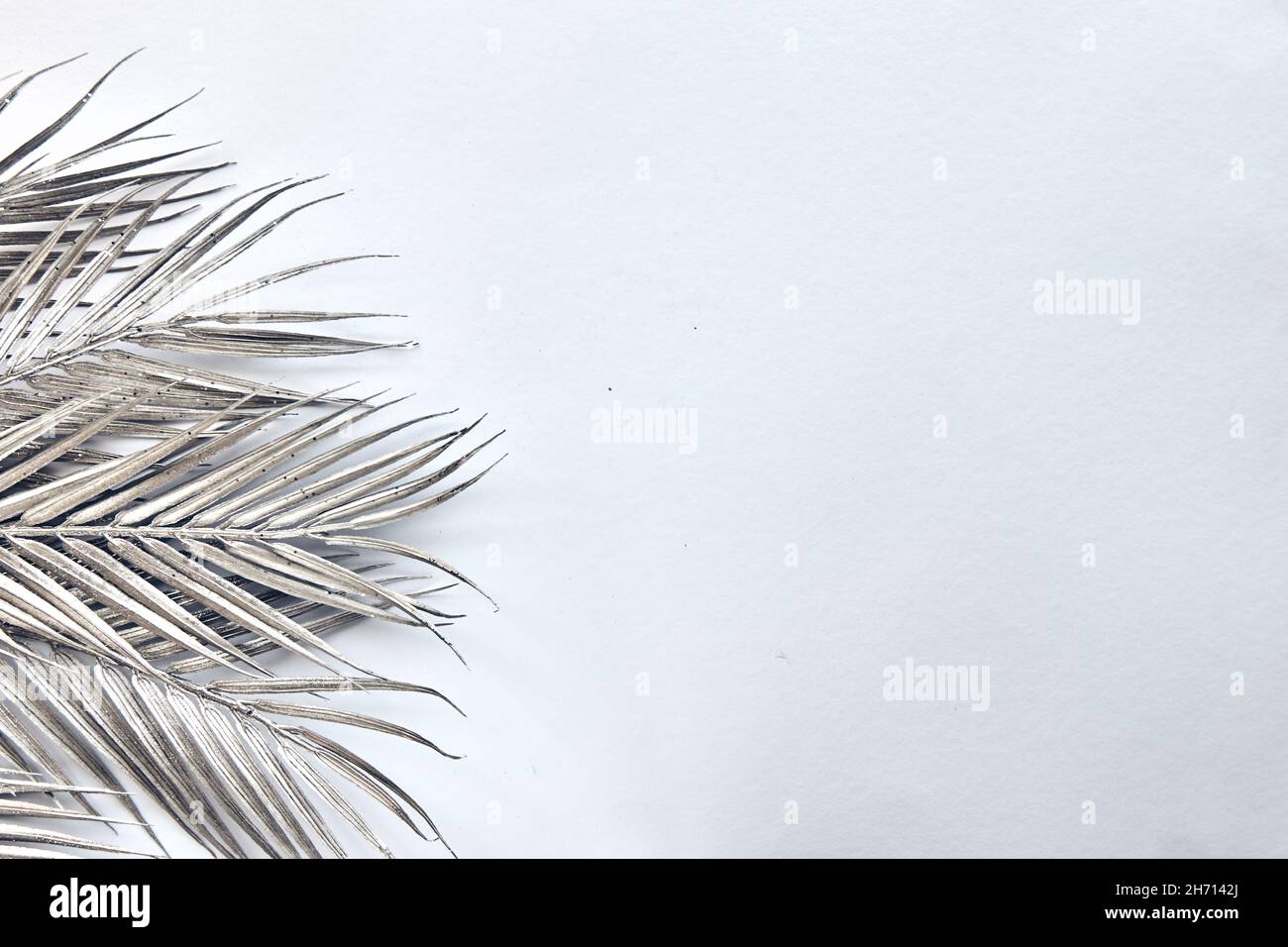 Shiny tropical palm leaf shadows on white grey ceramic beton wall ...