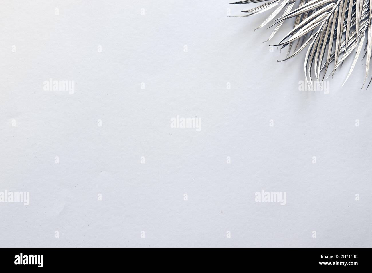 Shiny tropical palm leaf shadows on white grey ceramic beton wall ...