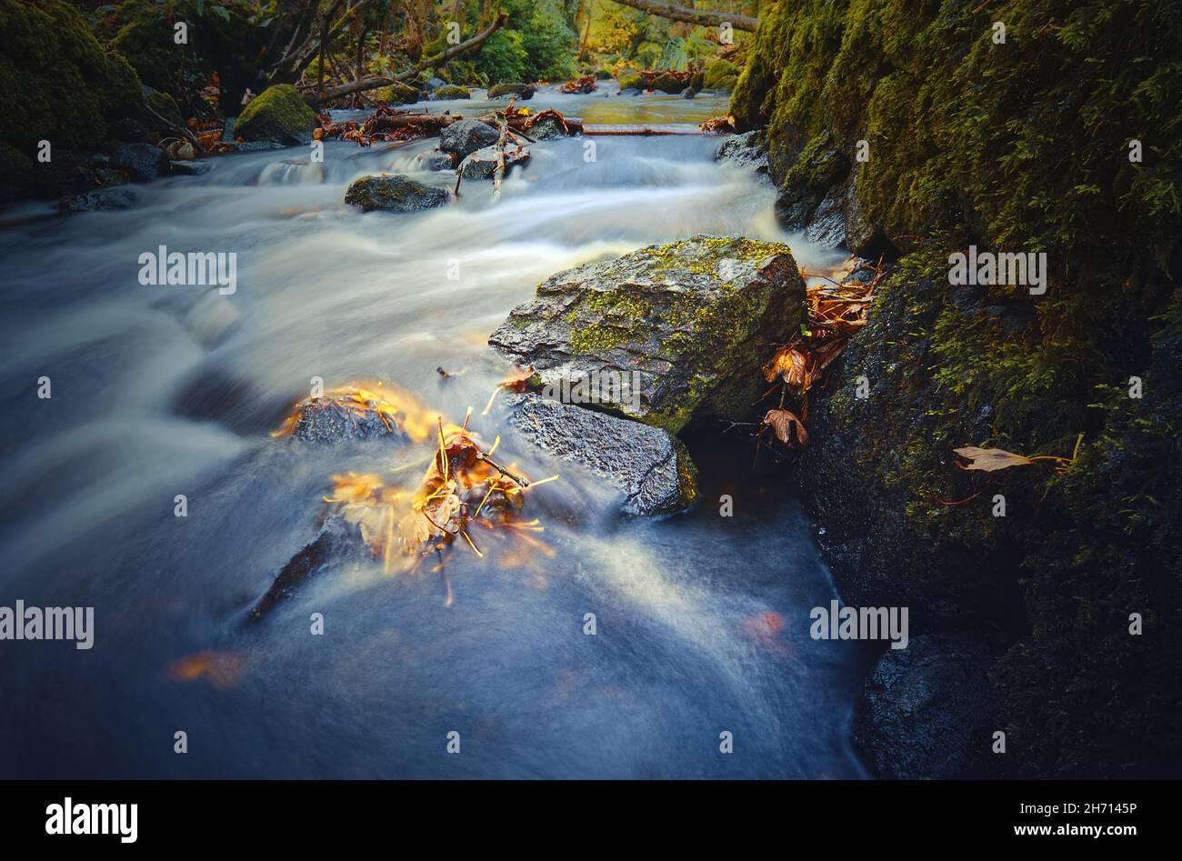 Lovely nature hi-res stock photography and images - Alamy