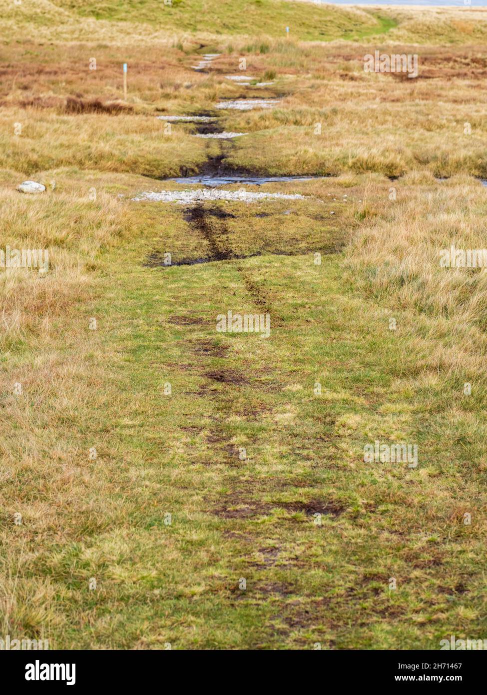 Erosion control on footpath hi-res stock photography and images - Alamy