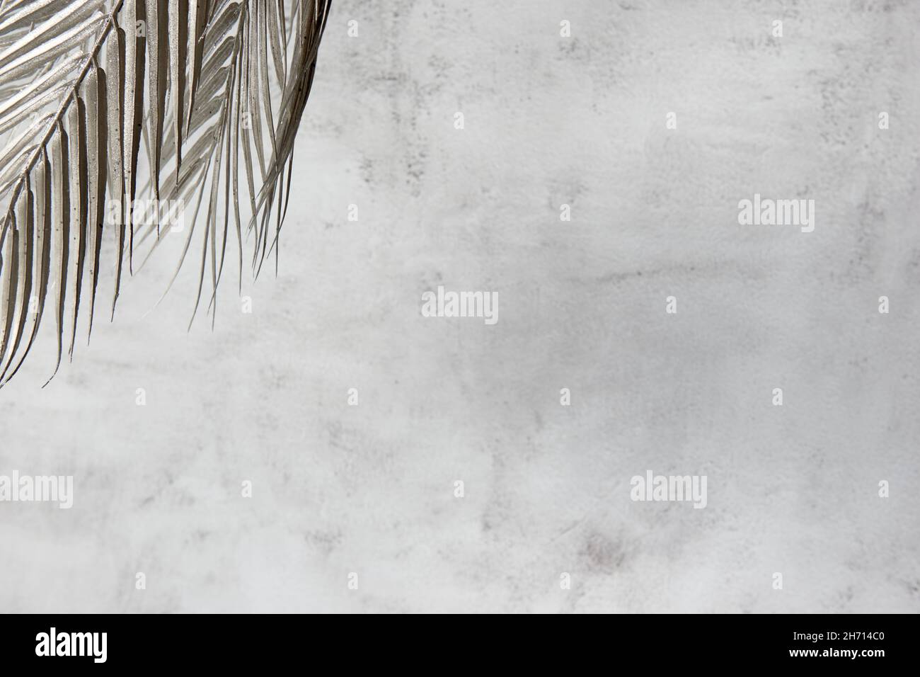 Shiny tropical palm leaf shadows on white grey ceramic beton wall ...