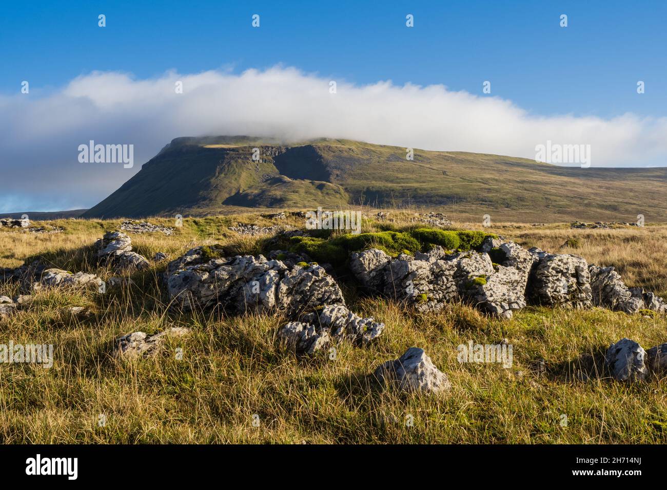White Scars, a magnificent an extensive area of fellside and limestone ...