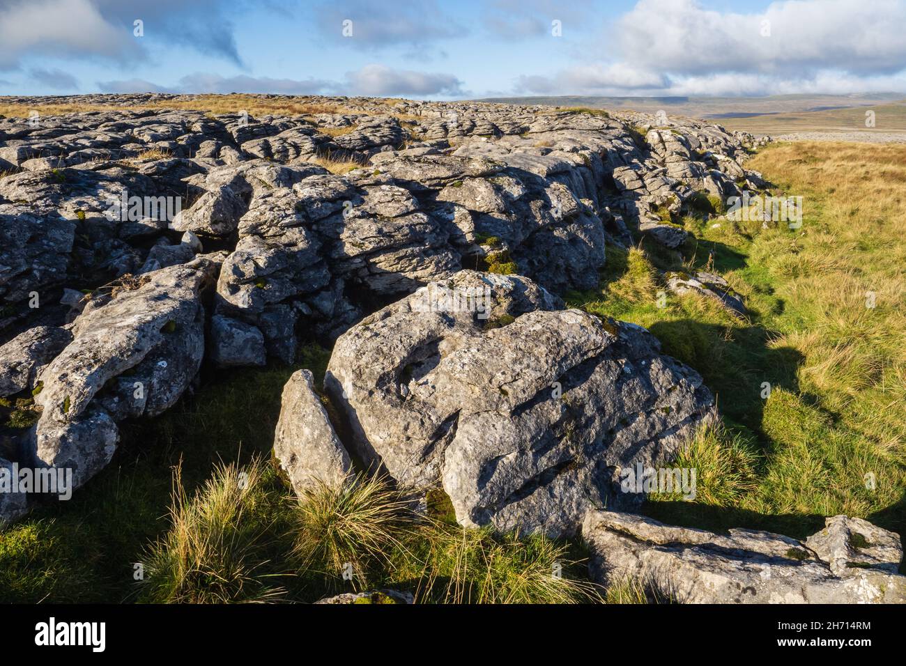 limestone pavement is a natural karst landform consisting of a flat ...