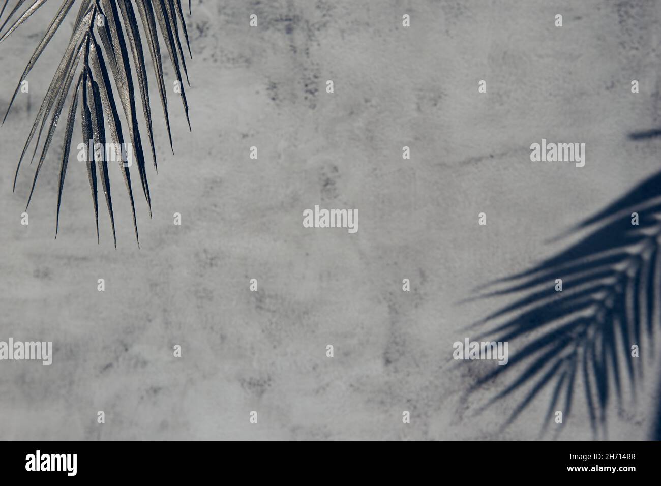 Shiny tropical palm leaf shadows on white grey ceramic beton wall ...