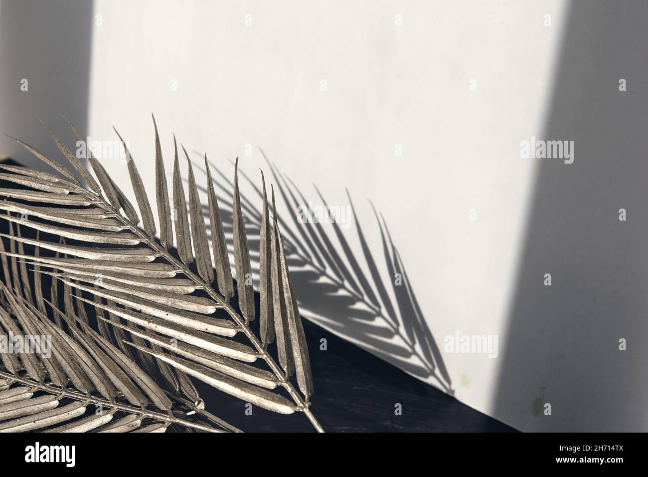 Shiny tropical palm leaf shadows on white grey ceramic beton wall ...