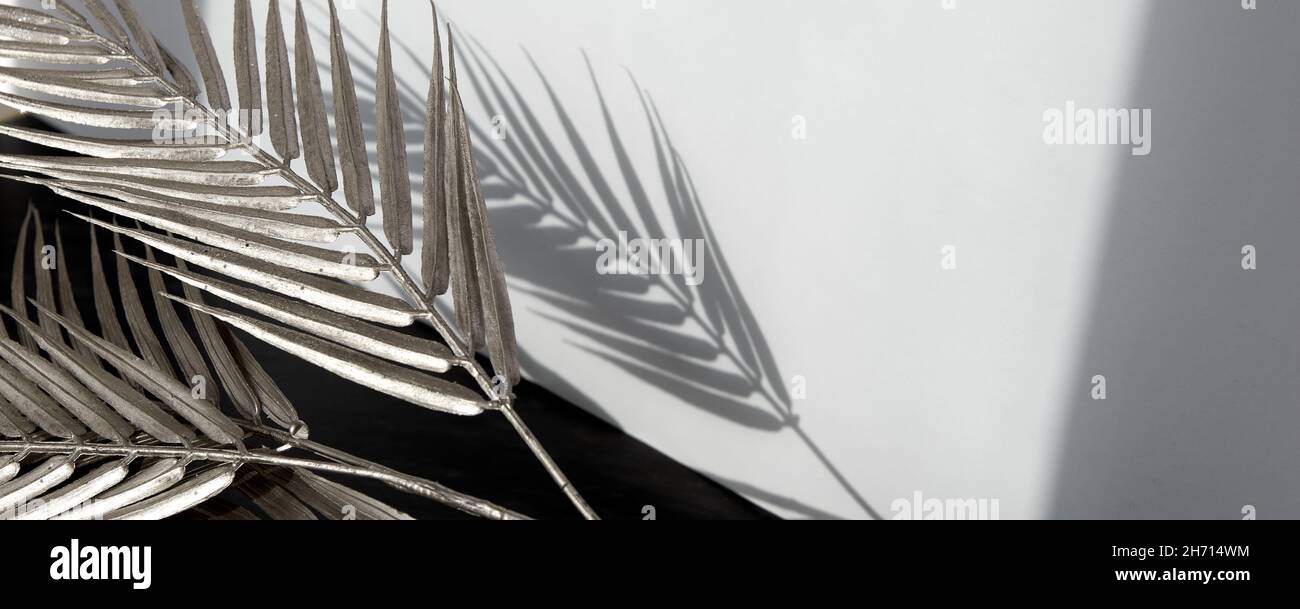 Shiny tropical palm leaf shadows on white grey ceramic beton wall ...