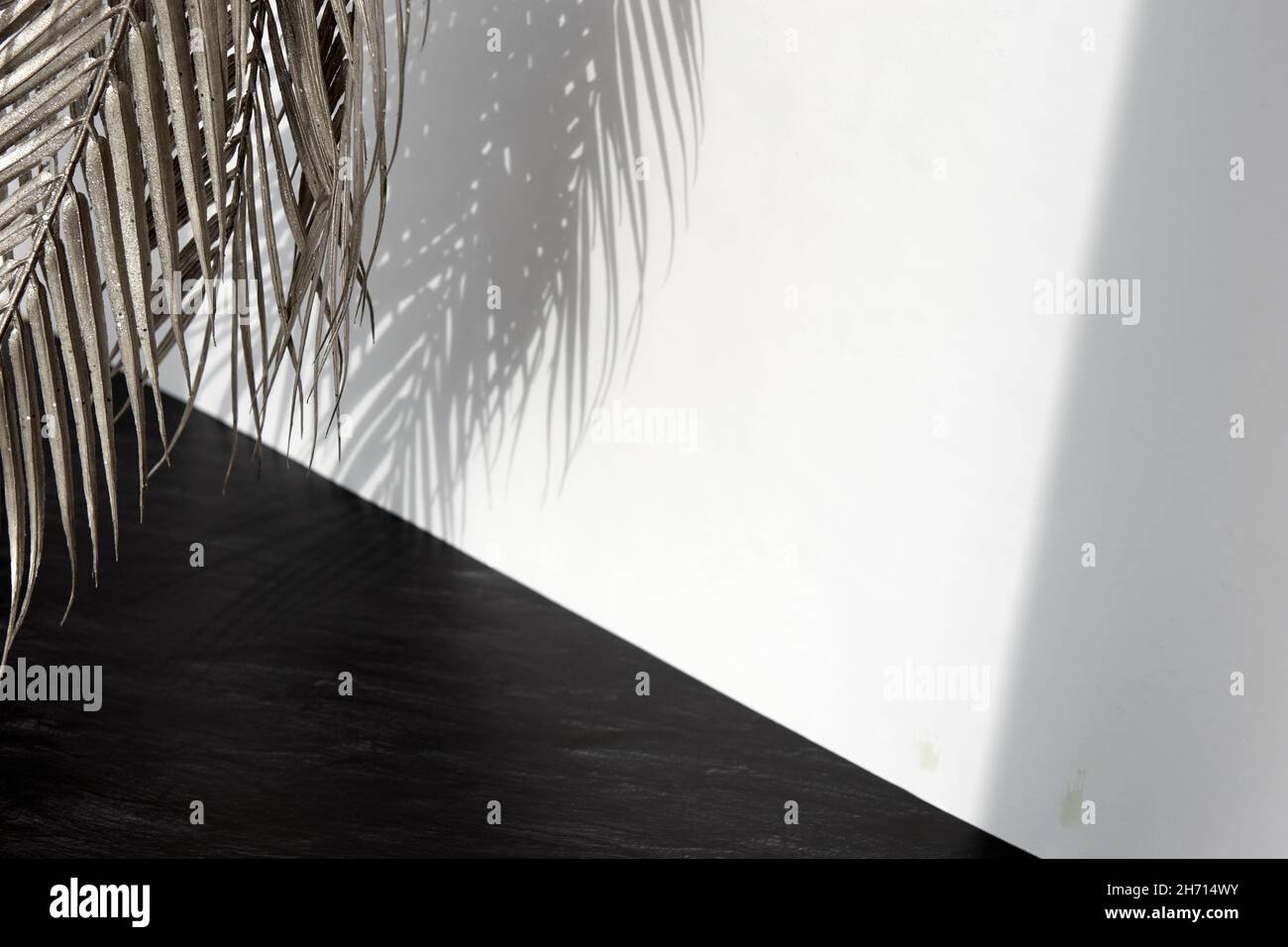 Shiny tropical palm leaf shadows on white grey ceramic beton wall ...