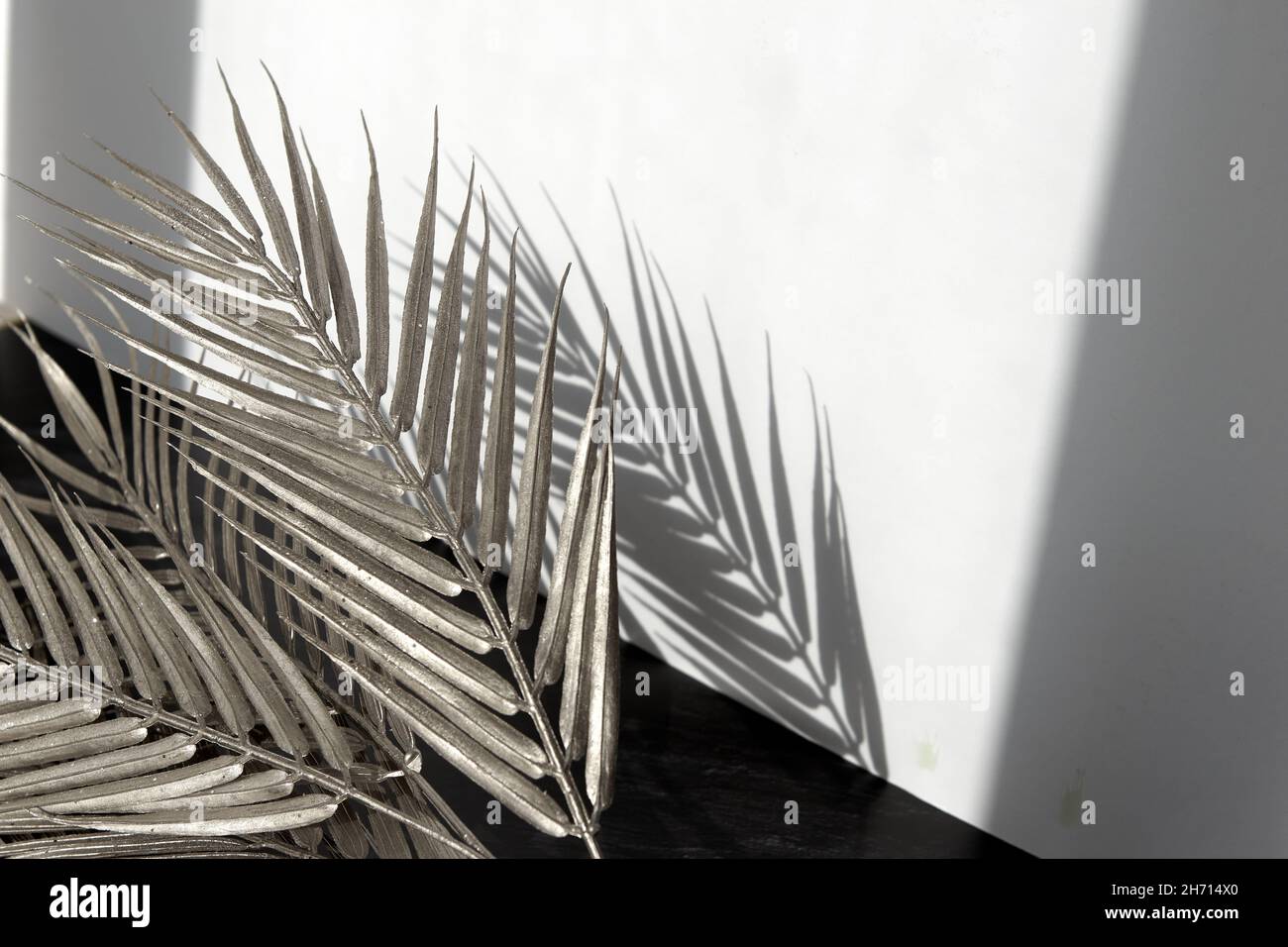 Shiny tropical palm leaf shadows on white grey ceramic beton wall ...