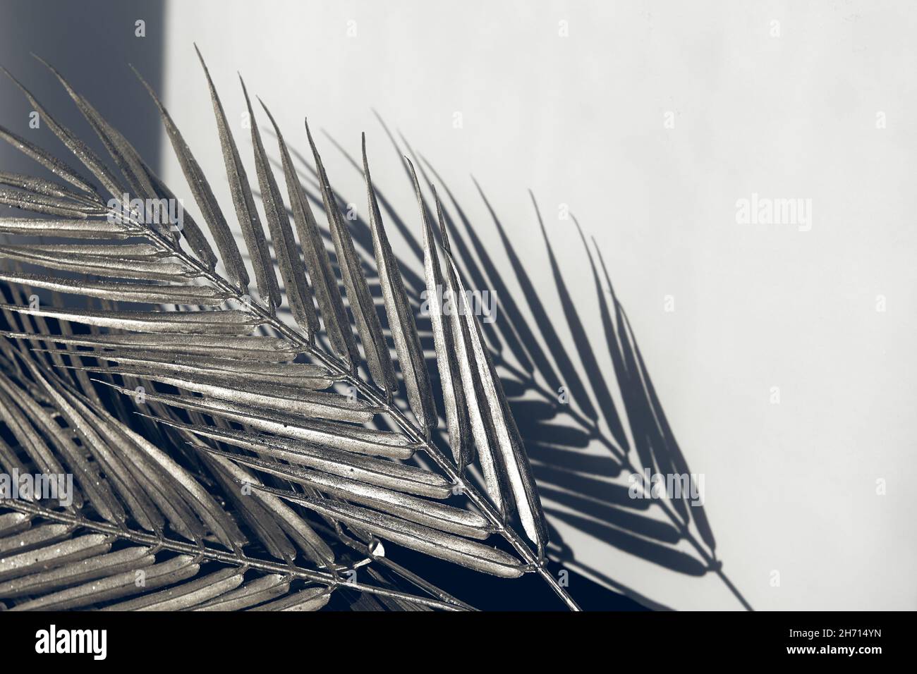 Shiny tropical palm leaf shadows on white grey ceramic beton wall ...