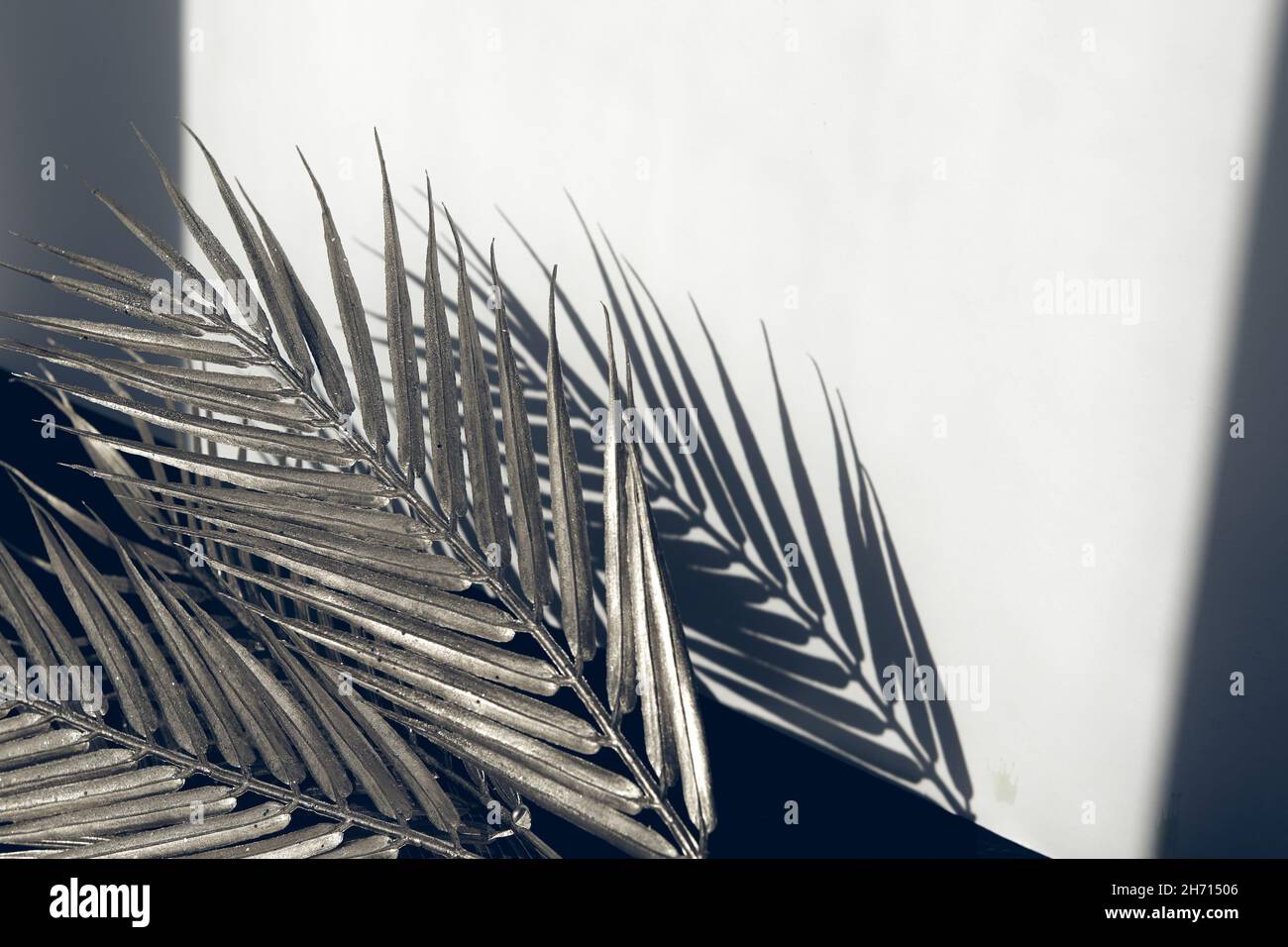 Shiny tropical palm leaf shadows on white grey ceramic beton wall ...
